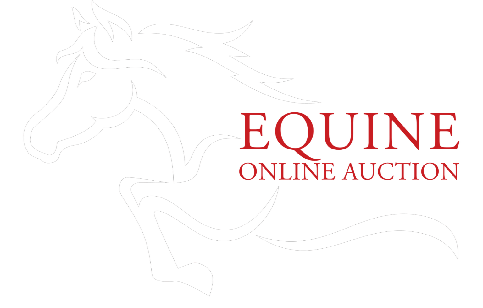 Horse Auction USA | Equine Online Auction