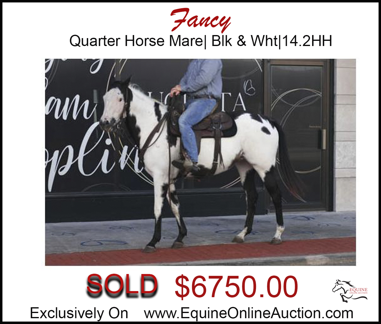 Equine Online Auction - Fancy - Quarter Horse